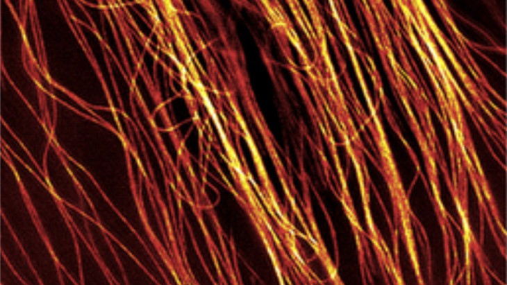 A new molecule for high-resolution cell imaging