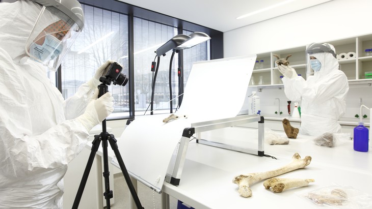 Prehistoric Genomes From The World's First Farmers In The Zagros ...